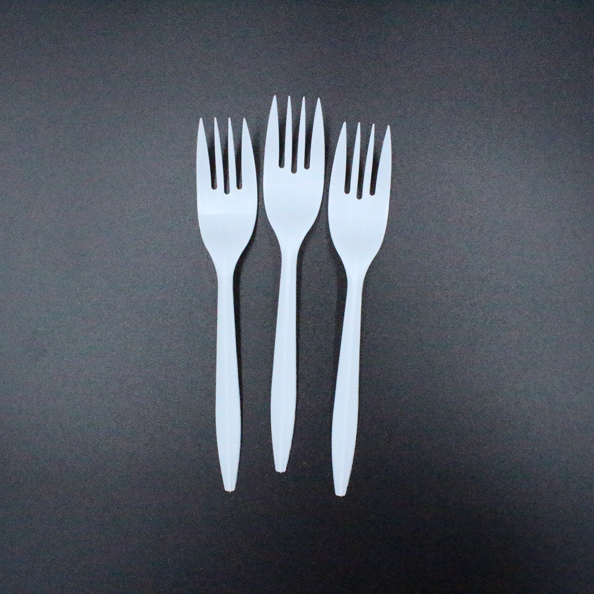 DC-25F Medium Weight Fork 1000/CS – GBC GROUP